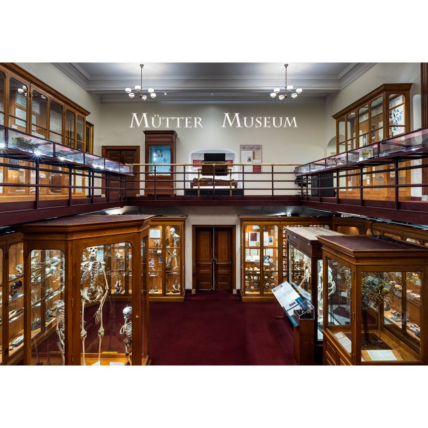 the mutter museum hours