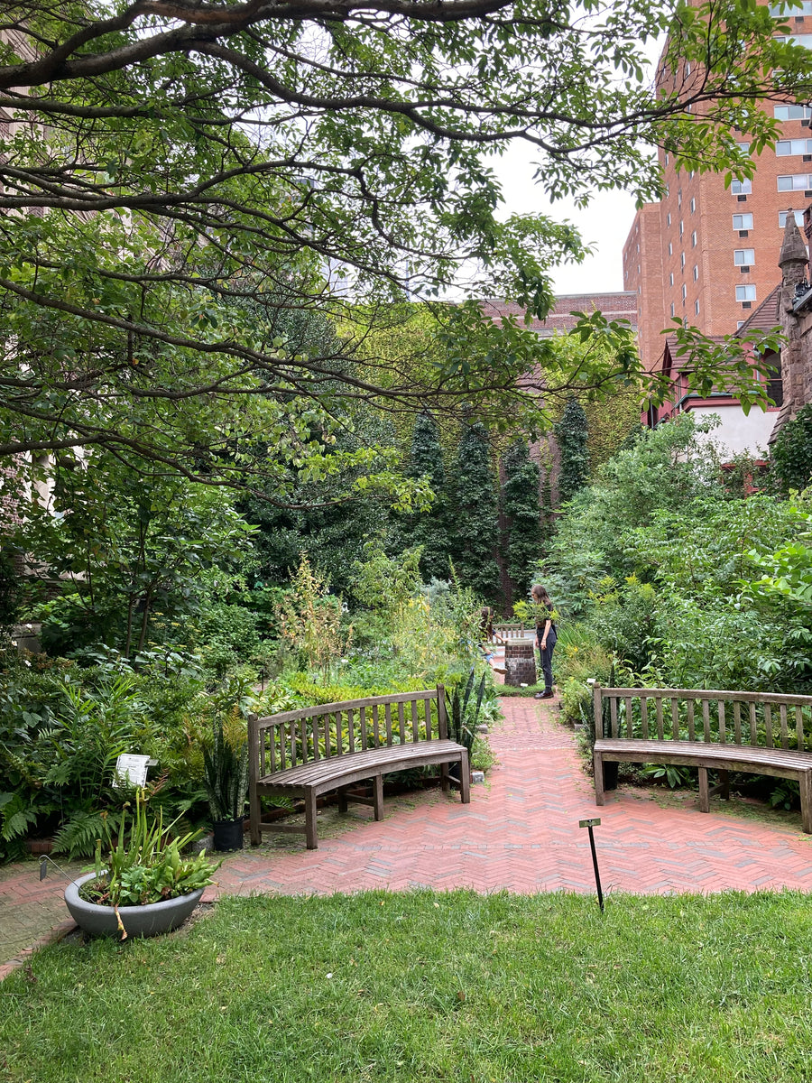 Garden – Mutter Museum Store