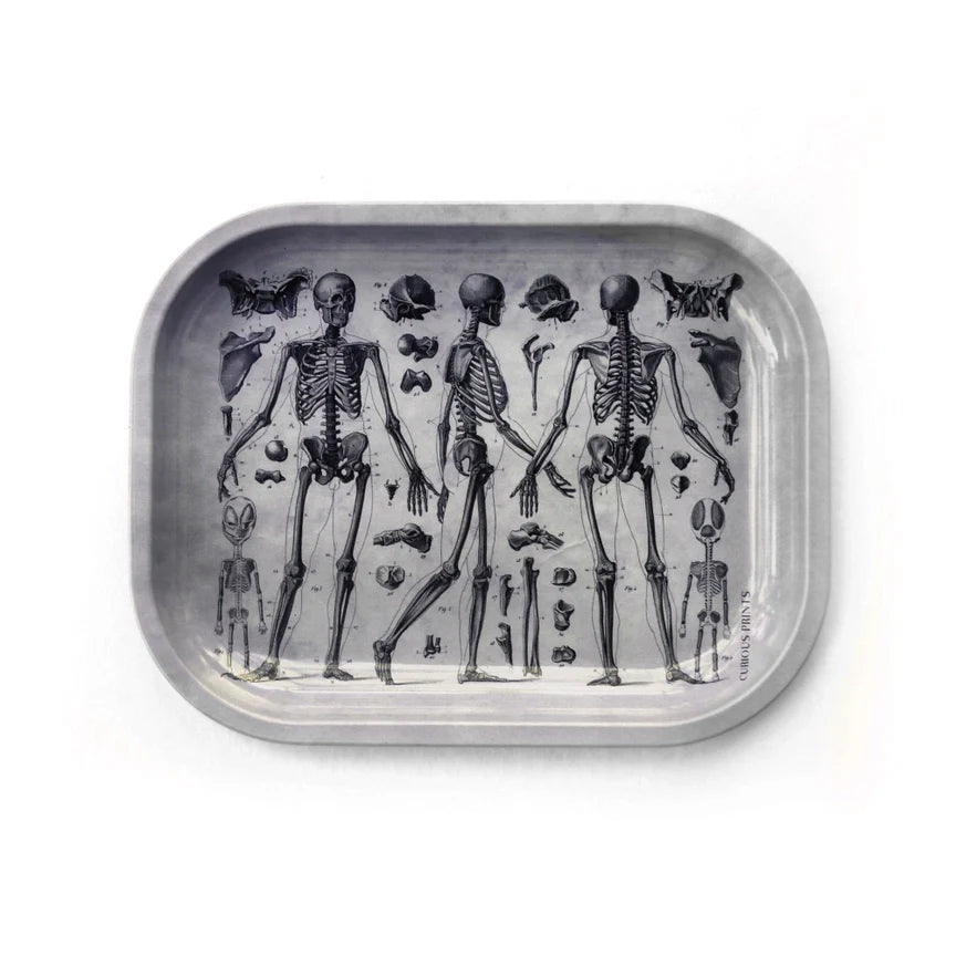 Home, Garden & Beauty – Mutter Museum Store