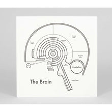 Home Decor – Mutter Museum Store