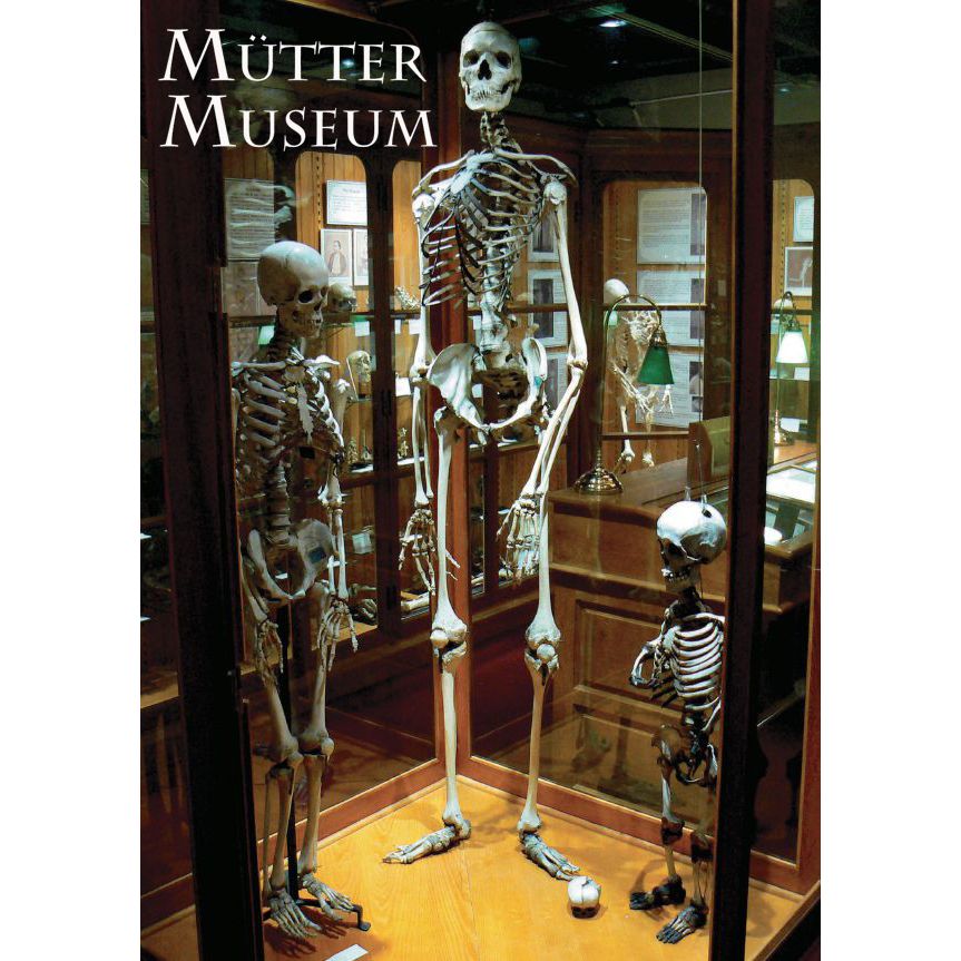Mutter Museum Giant