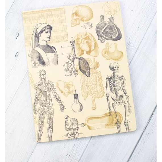 Stationery – Page 2 – Mutter Museum Store