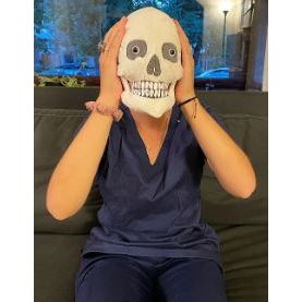 Skull Plush – Mutter Museum Store